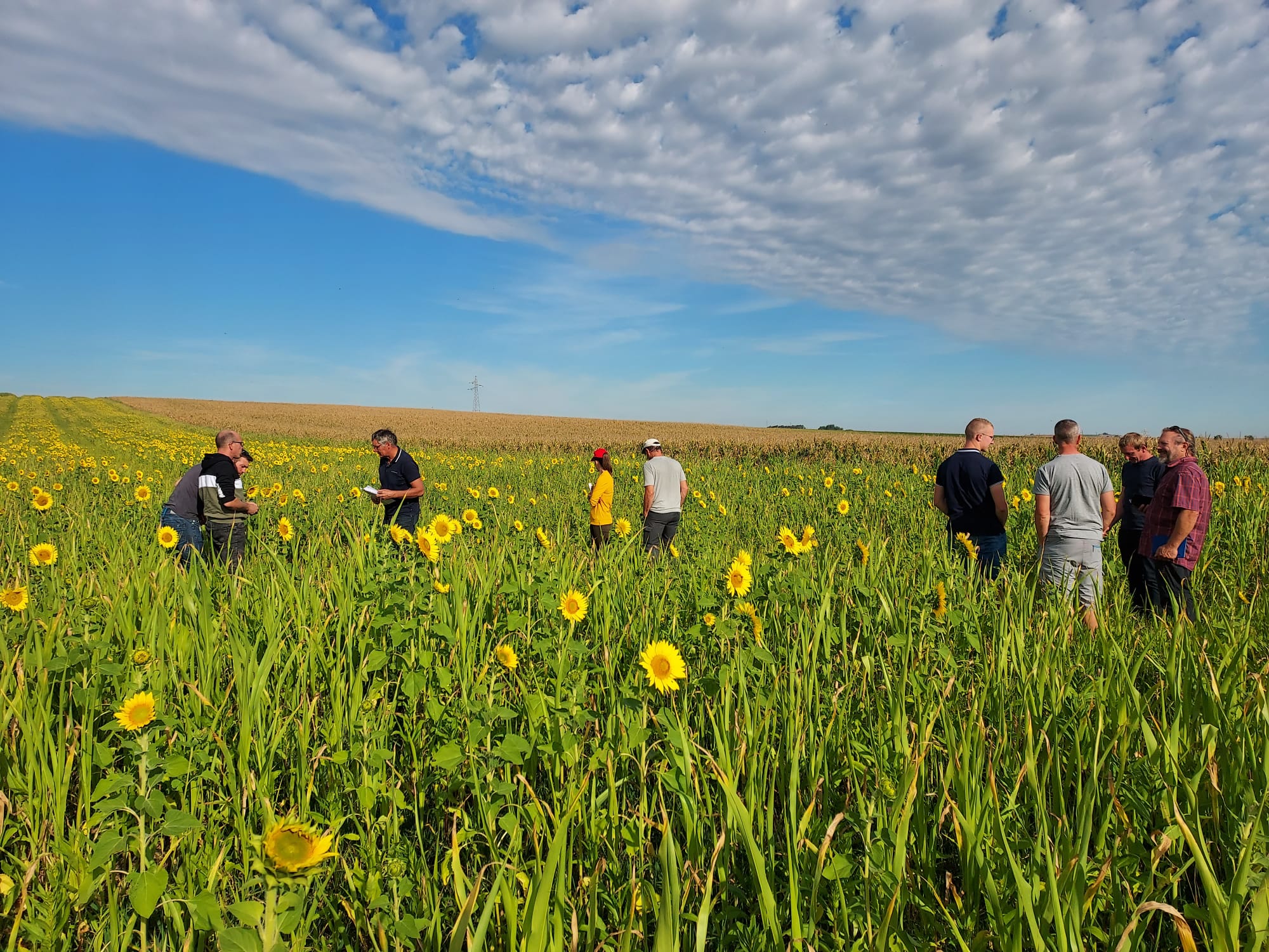 Inter-GIEE : Retour sur le Tour de Plaine de la CUMA de la Zorn et de ...