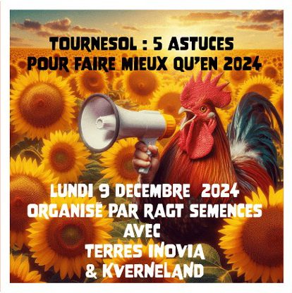 Webinaire tournesol - 5 astuces pour faire mieux qu’en 2024 | FNCuma